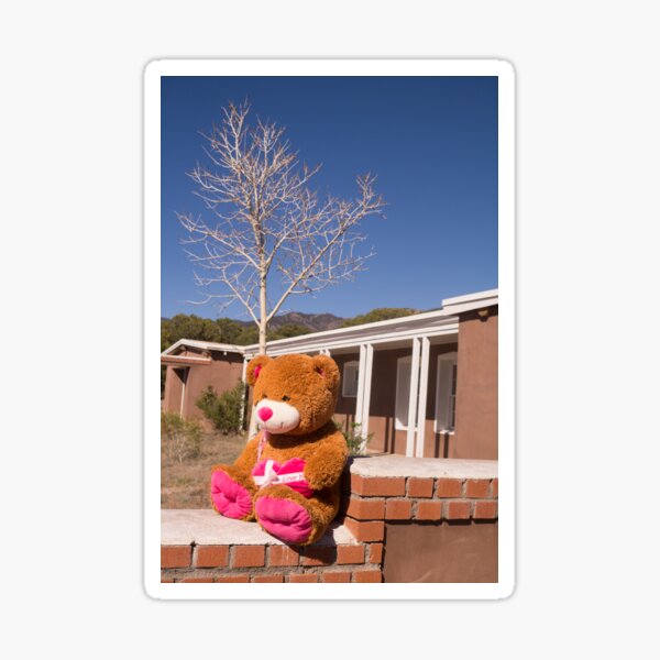 "ali oso bear" Sticker by pcfyi | Redbubble