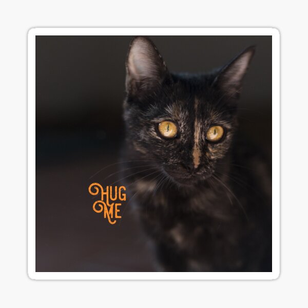 "Cat hug" Sticker by Dewshisir | Redbubble