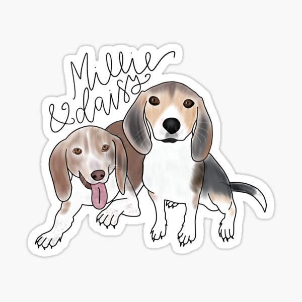 "Millie & Daisy (2)" Sticker for Sale by abbswarren | Redbubble