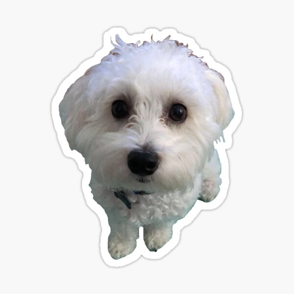 "lil elle" Sticker by jordy-p | Redbubble