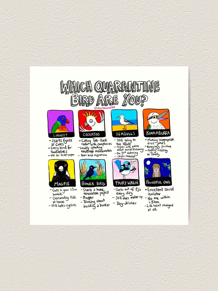 "Which Quarantine Bird Are You? " Art Print for Sale by JessHarwoodArt ...