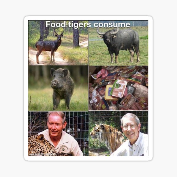 "Tiger King - Joe Exotic" Sticker for Sale by tigerkingmerch | Redbubble