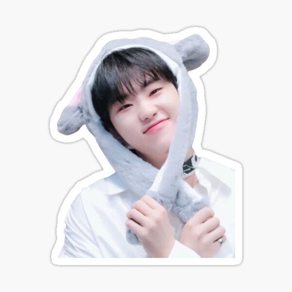 "Seventeen Hoshi" Sticker for Sale by wwjkhsk | Redbubble