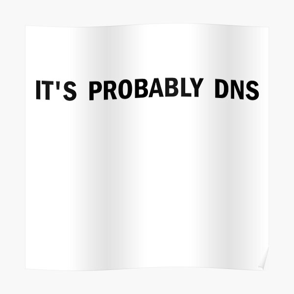 "DNS" Poster for Sale by byobsquared | Redbubble