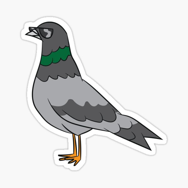 "Pigeon - Cool pigeon with sunglasses" Sticker for Sale by Mohja-Design ...
