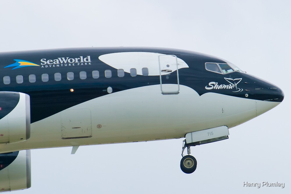 "N715SW Southwest Airlines Shamu Boeing 737-7H4 Nose" by Henry Plumley ...