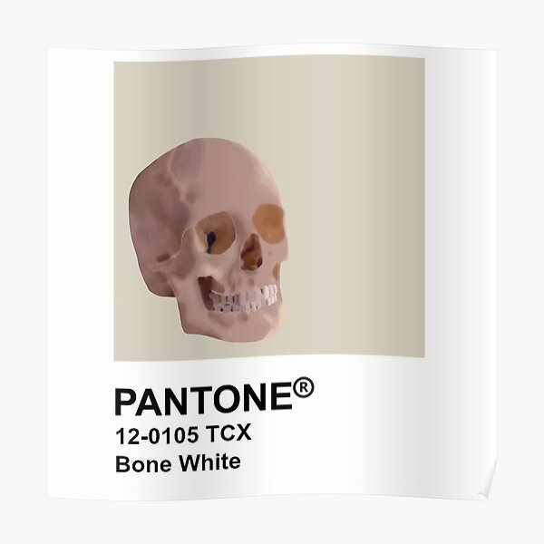 "PANTONE bone white" Poster for Sale by Nationwidetrash | Redbubble