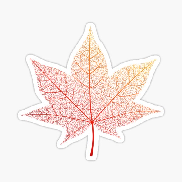 "The Maple" Sticker by wydrenpng | Redbubble
