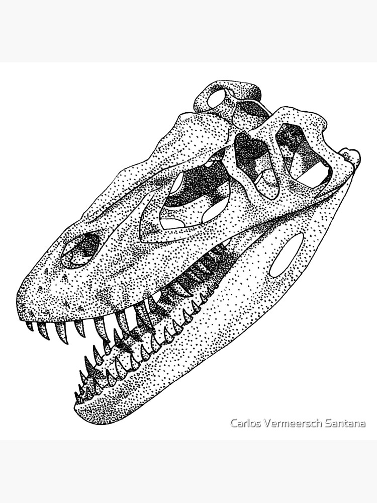 "Torvosaurus skull" Poster by CarlosVenator | Redbubble