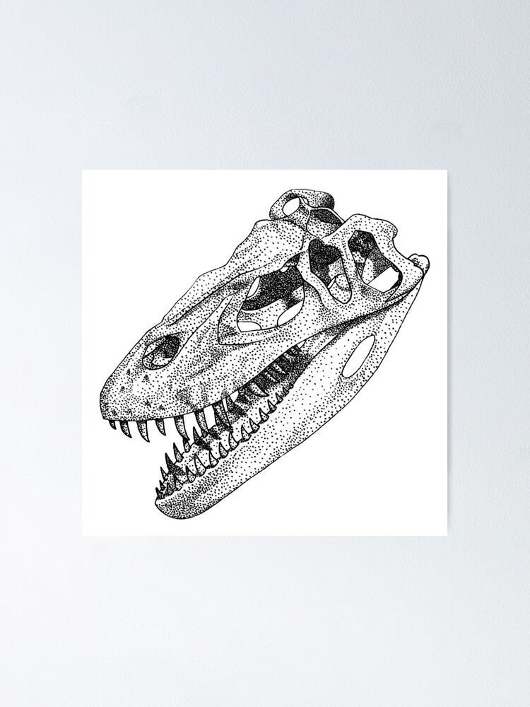 "Torvosaurus skull" Poster by CarlosVenator | Redbubble