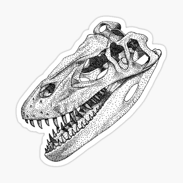 "Torvosaurus skull" Sticker by CarlosVenator | Redbubble