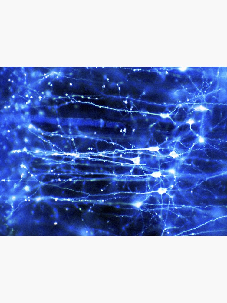 Human Brain Synapses Electron Microscope Photo Premium Matte Vertical ...