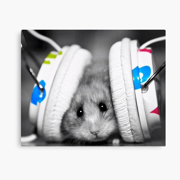 "hamster on headphones" Canvas Print by Sevens753 | Redbubble