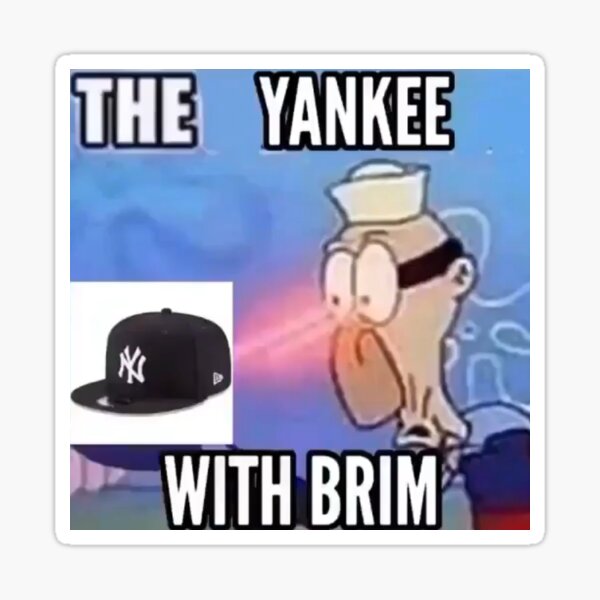 Brim Stickers | Redbubble