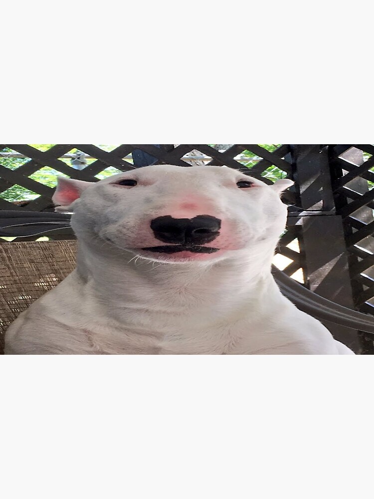 "Walter Meme" Sticker by TorstenKil | Redbubble