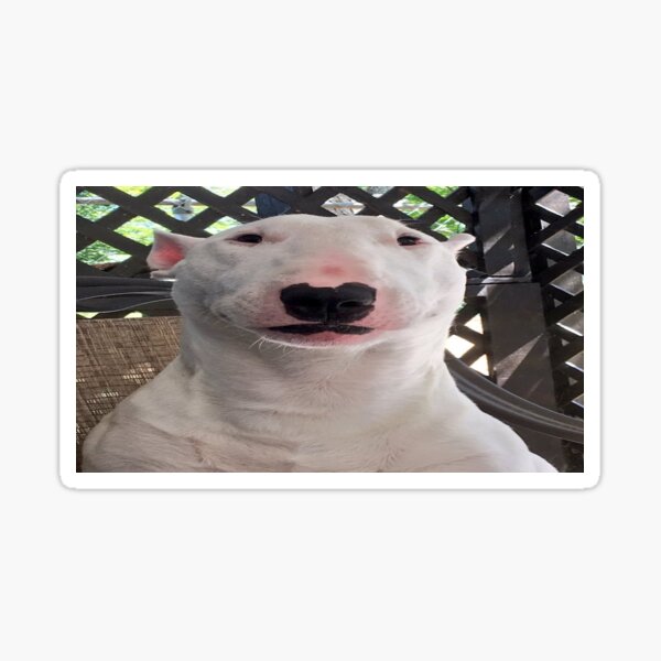 "Walter Meme" Sticker by TorstenKil | Redbubble