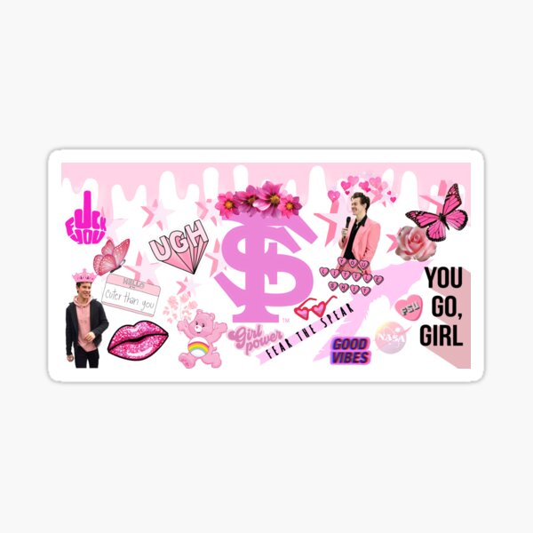 "FSU-Inspired Pink Collage" Sticker by drewroach16 | Redbubble