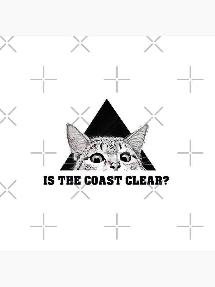 "IS THE COAST CLEAR?" Canvas Print for Sale by gadgetworld | Redbubble
