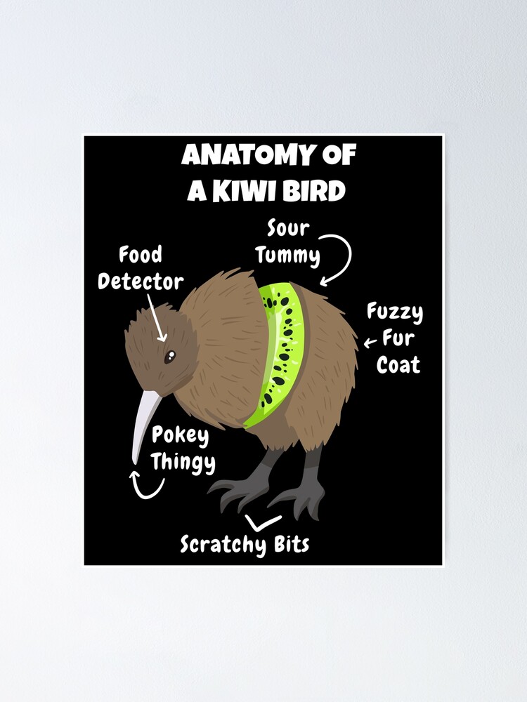 "Anatomy Of A Kiwi Bird " Poster by fatamyfan1 | Redbubble