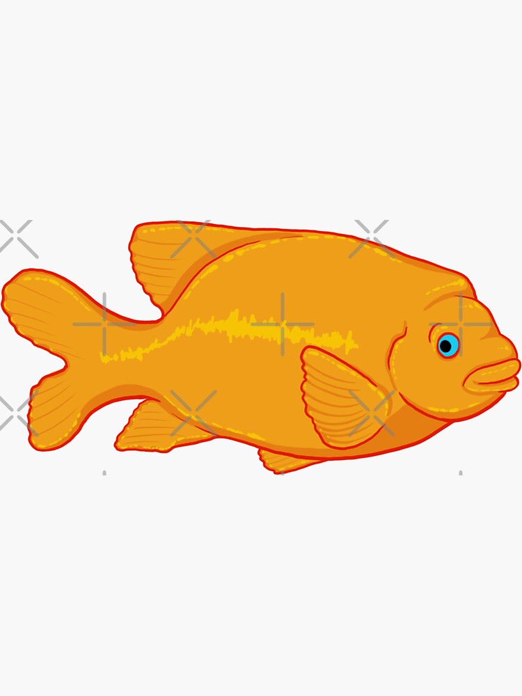 "Garibaldi fish" Sticker for Sale by dahoodscientist | Redbubble