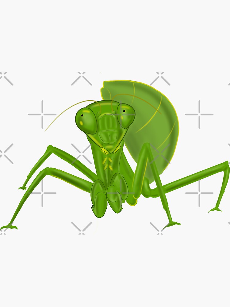 "Praying mantis" Sticker by dahoodscientist | Redbubble