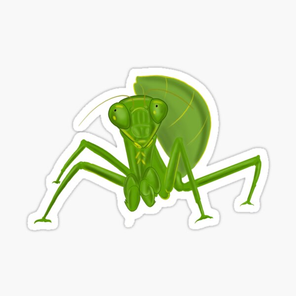 "Praying mantis" Sticker by dahoodscientist | Redbubble