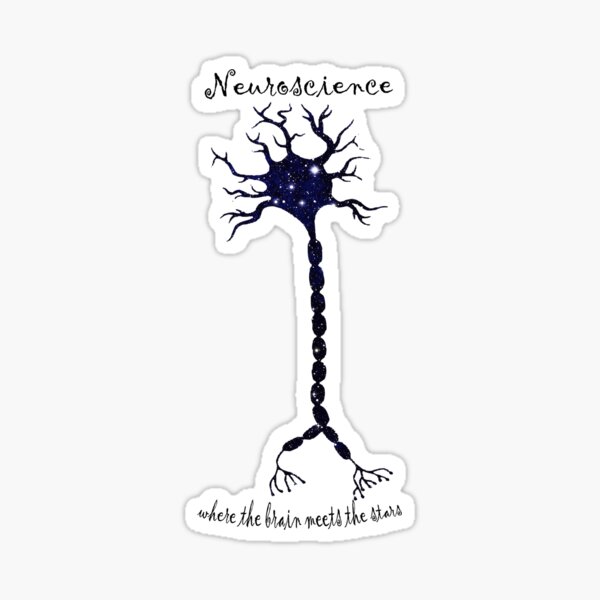 "Neuroscience definition" Sticker for Sale by lofty82 | Redbubble