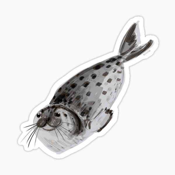 "Common seal" Sticker for Sale by belettelepink | Redbubble