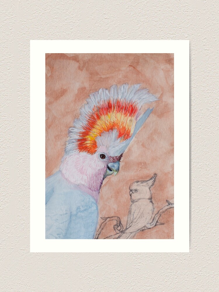 "Major Mitchell's Cockatoo" Art Print by jackkelliott | Redbubble