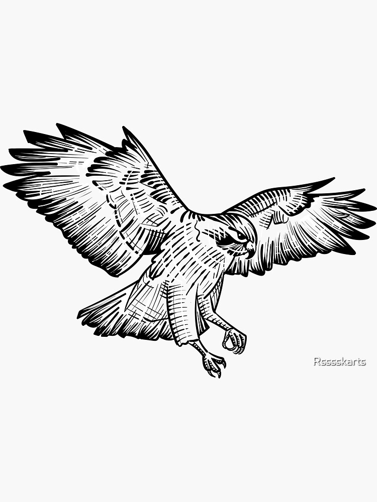 "Hawk Design" Sticker by rskarts | Redbubble