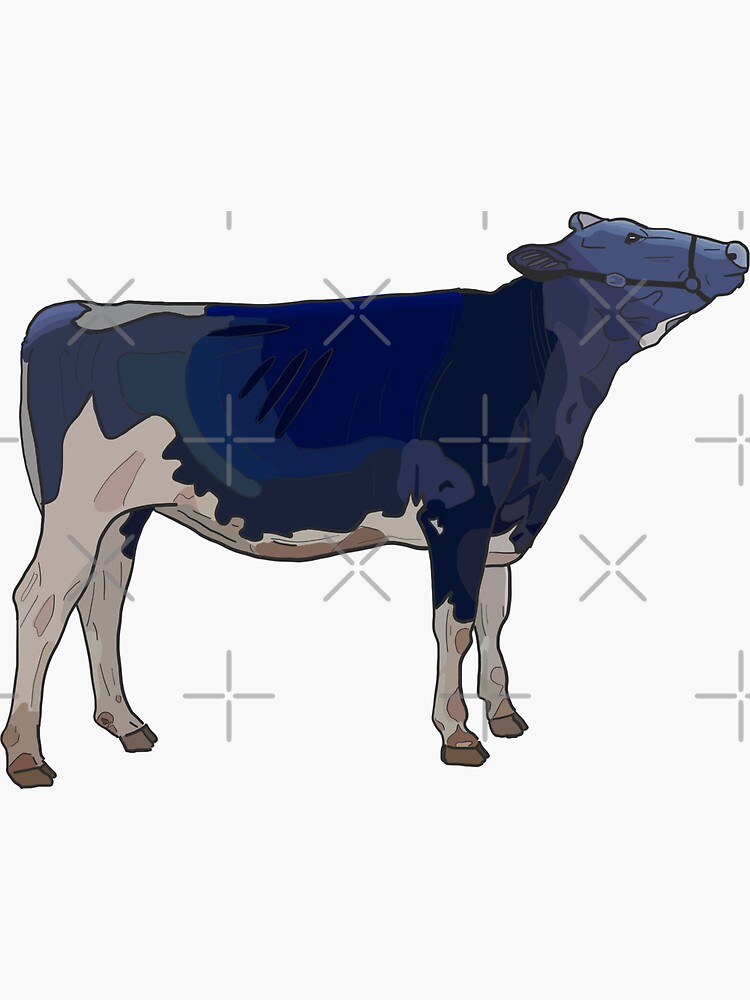 "Luna the Holstein Show Heifer" Sticker for Sale by Haylee Hicks ...