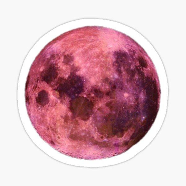 "PINK MOON " Sticker for Sale by PopCulturePics | Redbubble