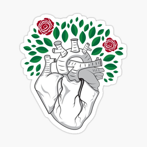 "Wild At Heart // Flower Heart Anatomy" Sticker for Sale by dougie ...