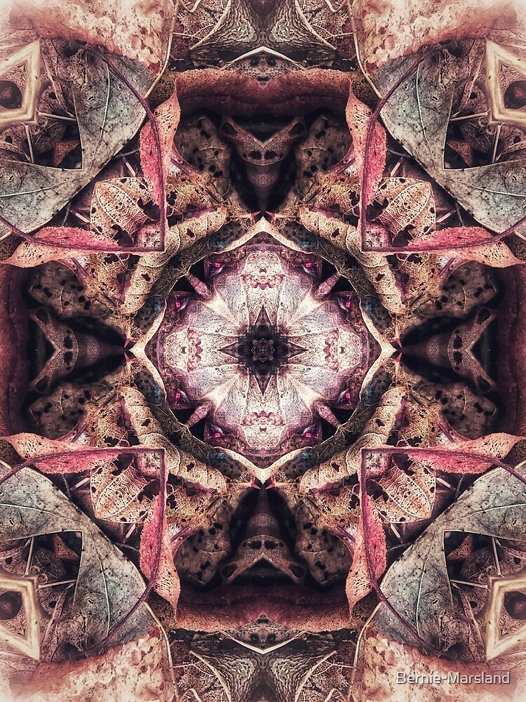 "Leaf Art - Moth Alien" Art Print by Bernie-Marsland | Redbubble