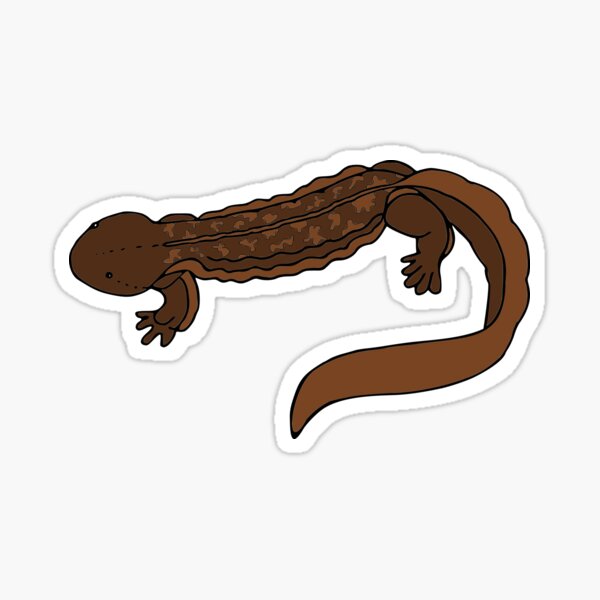 "Hellbender" Sticker for Sale by CreativeCorvid | Redbubble