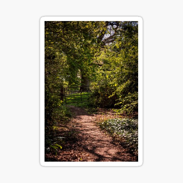 "Walk with me" Sticker by JEZ22 | Redbubble