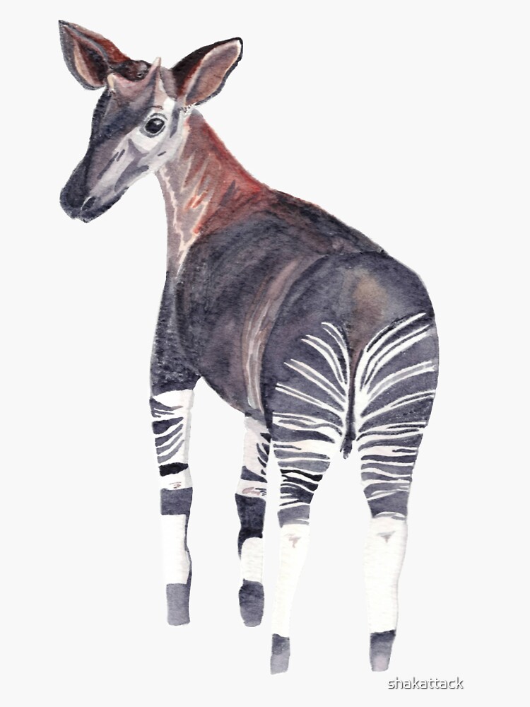 "Watercolor Okapi" Sticker by shakattack | Redbubble