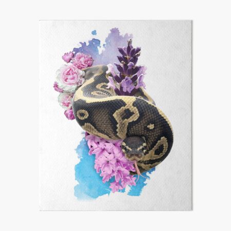"Ball Python Floral Watercolor" Art Board Print for Sale by ...