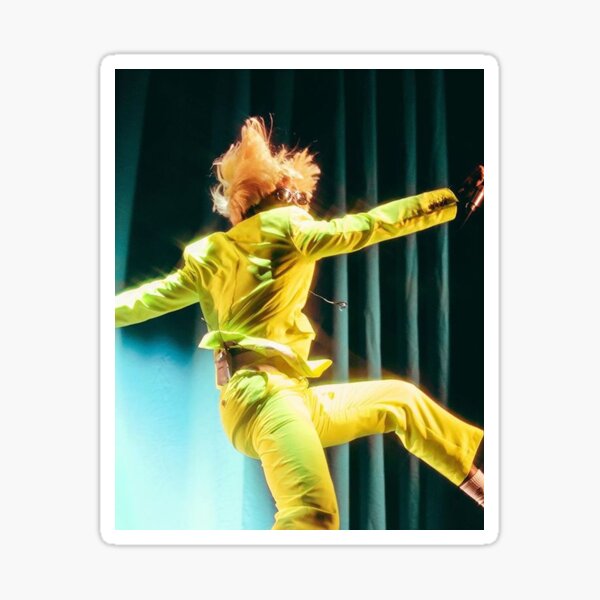 Vote Igor Stickers | Redbubble