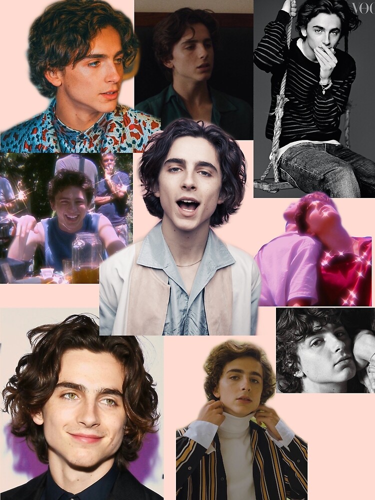 LOVE Timothee Chalamet Premium Matte Vertical Poster sold by Deepak ...