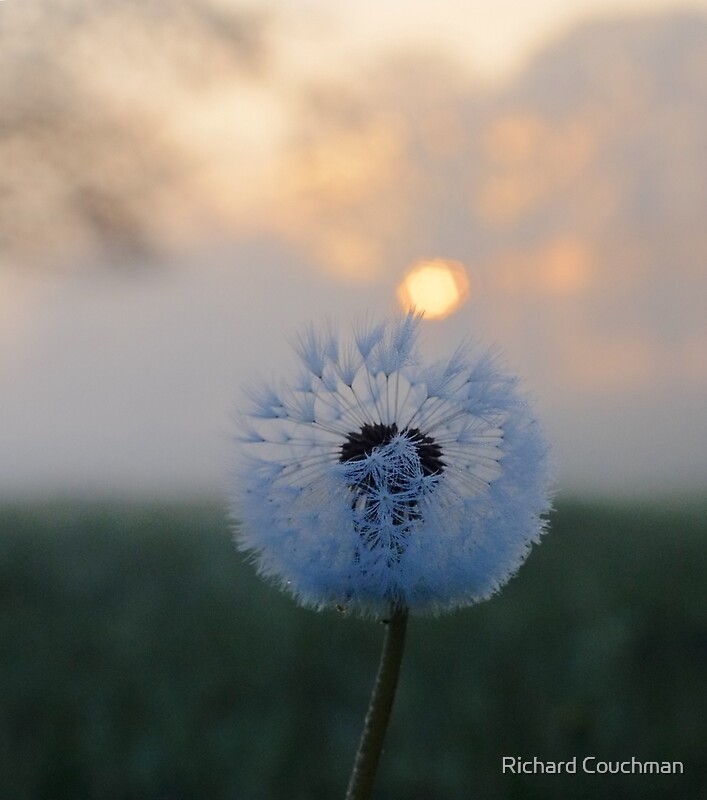Globe Of Morning “" by Richard Couchman | Redbubble