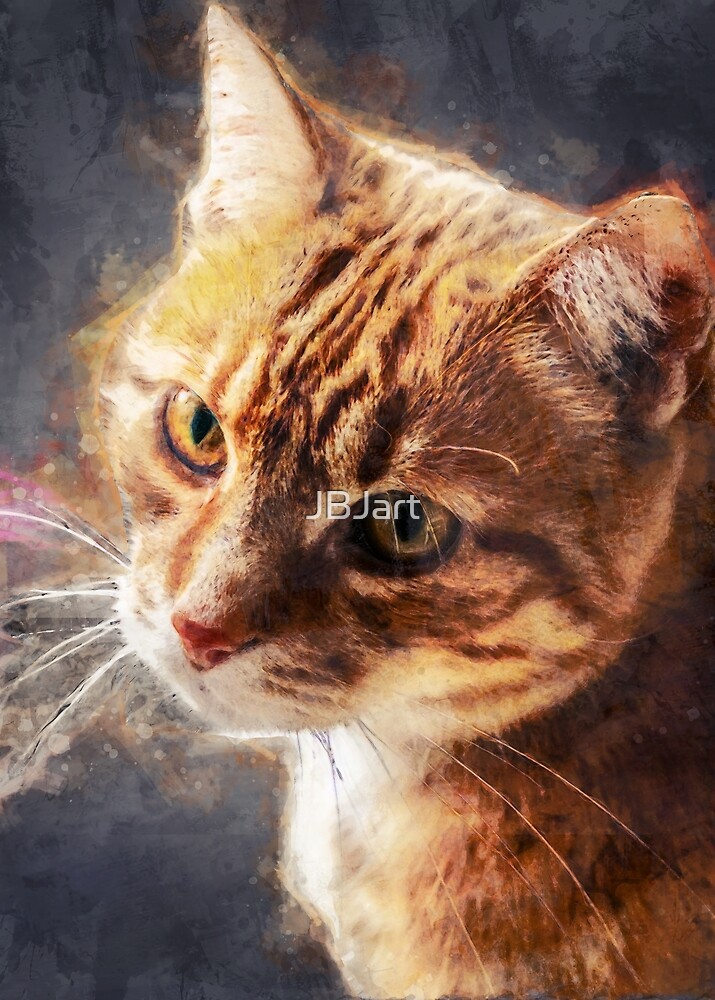 "Rudolf the cat #cat #cats #animals" by JBJart | Redbubble