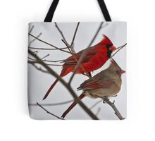 "Male and Female Cardinal " by barnsis | Redbubble