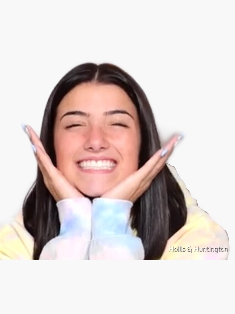 "charli " Sticker by abigailclairej | Redbubble