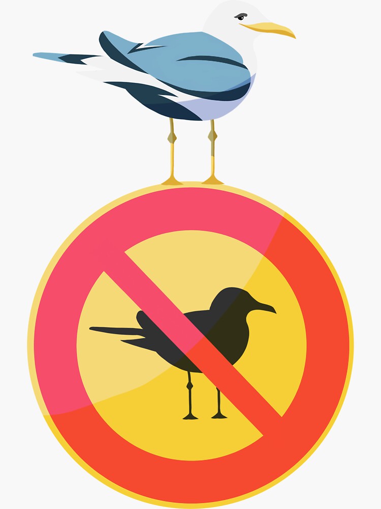 "Smug Seagull on No Seagulls Sign" Sticker for Sale by davigj | Redbubble