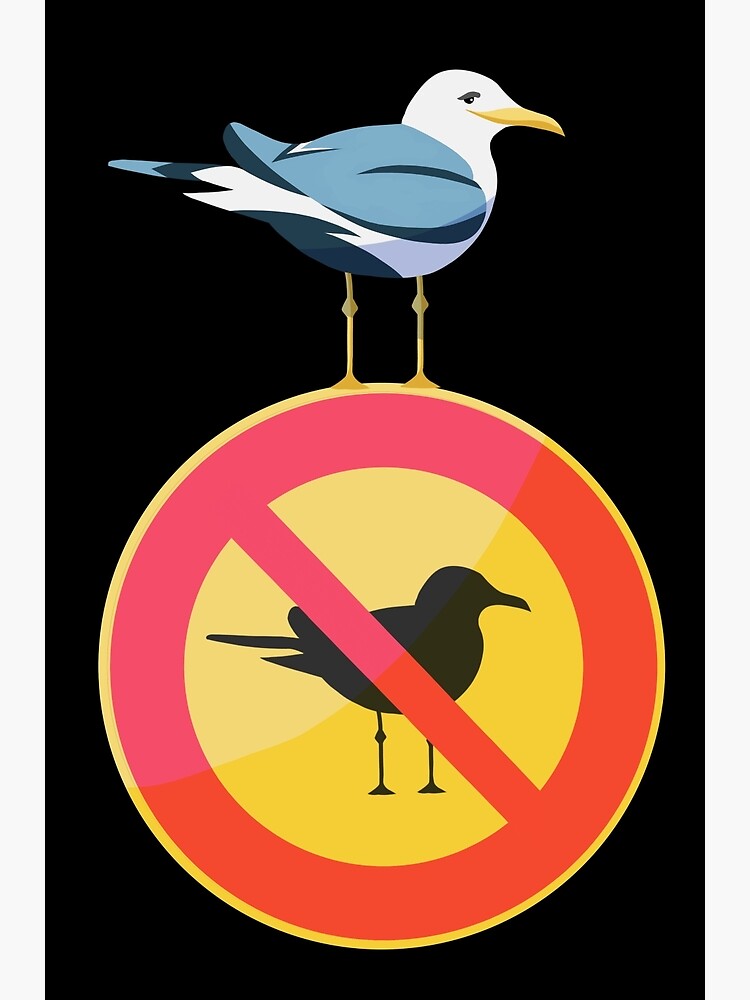 "Smug Seagull on No Seagulls Sign" Poster for Sale by davigj | Redbubble