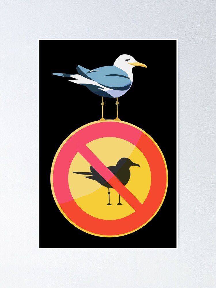 "Smug Seagull on No Seagulls Sign" Poster for Sale by davigj | Redbubble