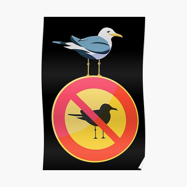 "Smug Seagull on No Seagulls Sign" Poster for Sale by davigj | Redbubble