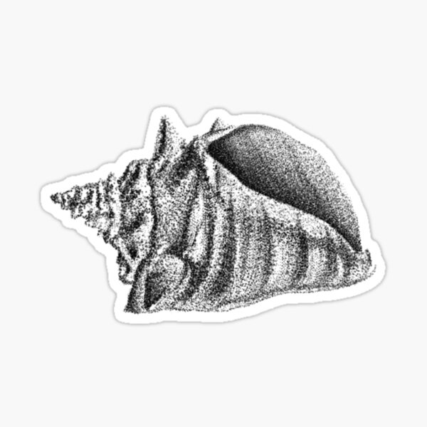 "Conch" Sticker for Sale by isaacchoukroun | Redbubble