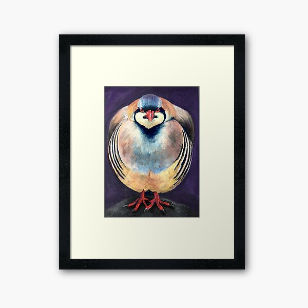 Chukar Wall Art | Redbubble
